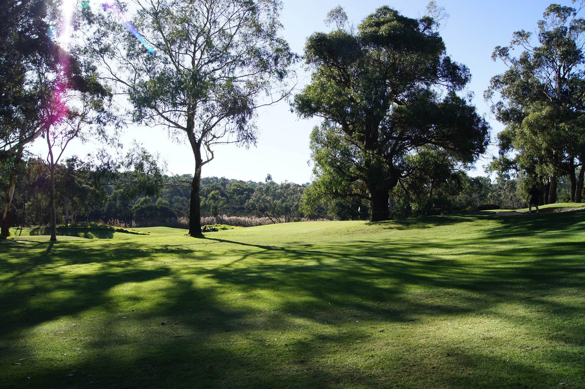 DSC04786 – Berwick Montuna Golf Club