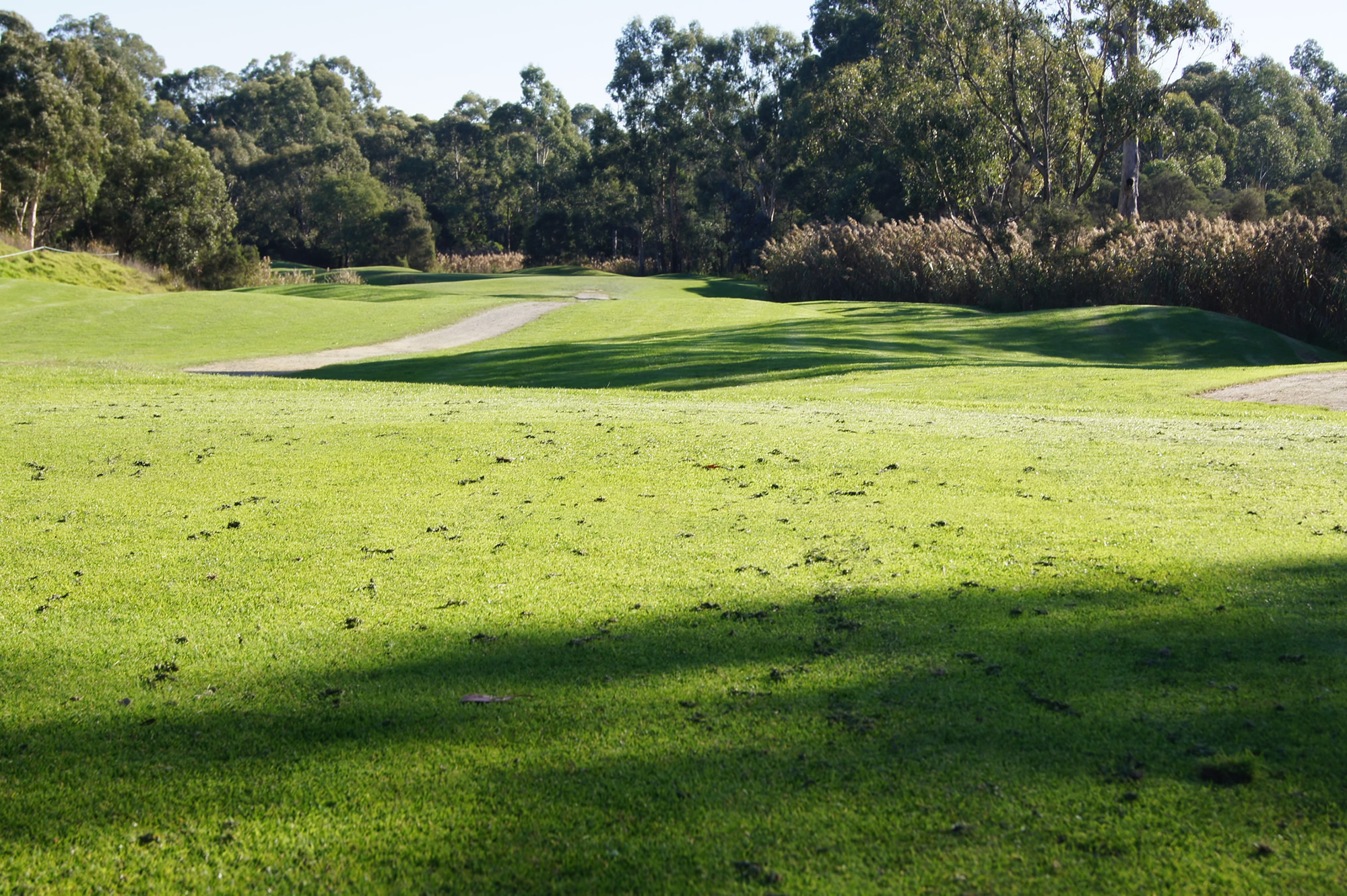 DSC04857 – Berwick Montuna Golf Club