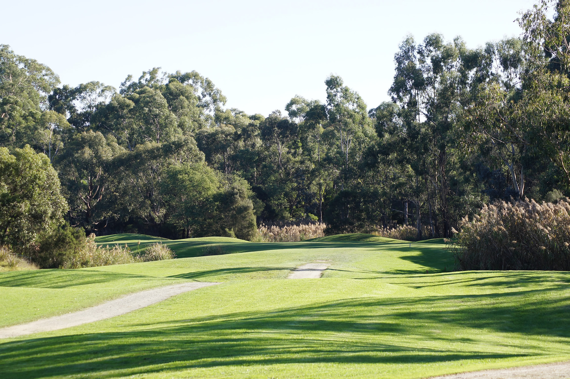 DSC04862 – Berwick Montuna Golf Club